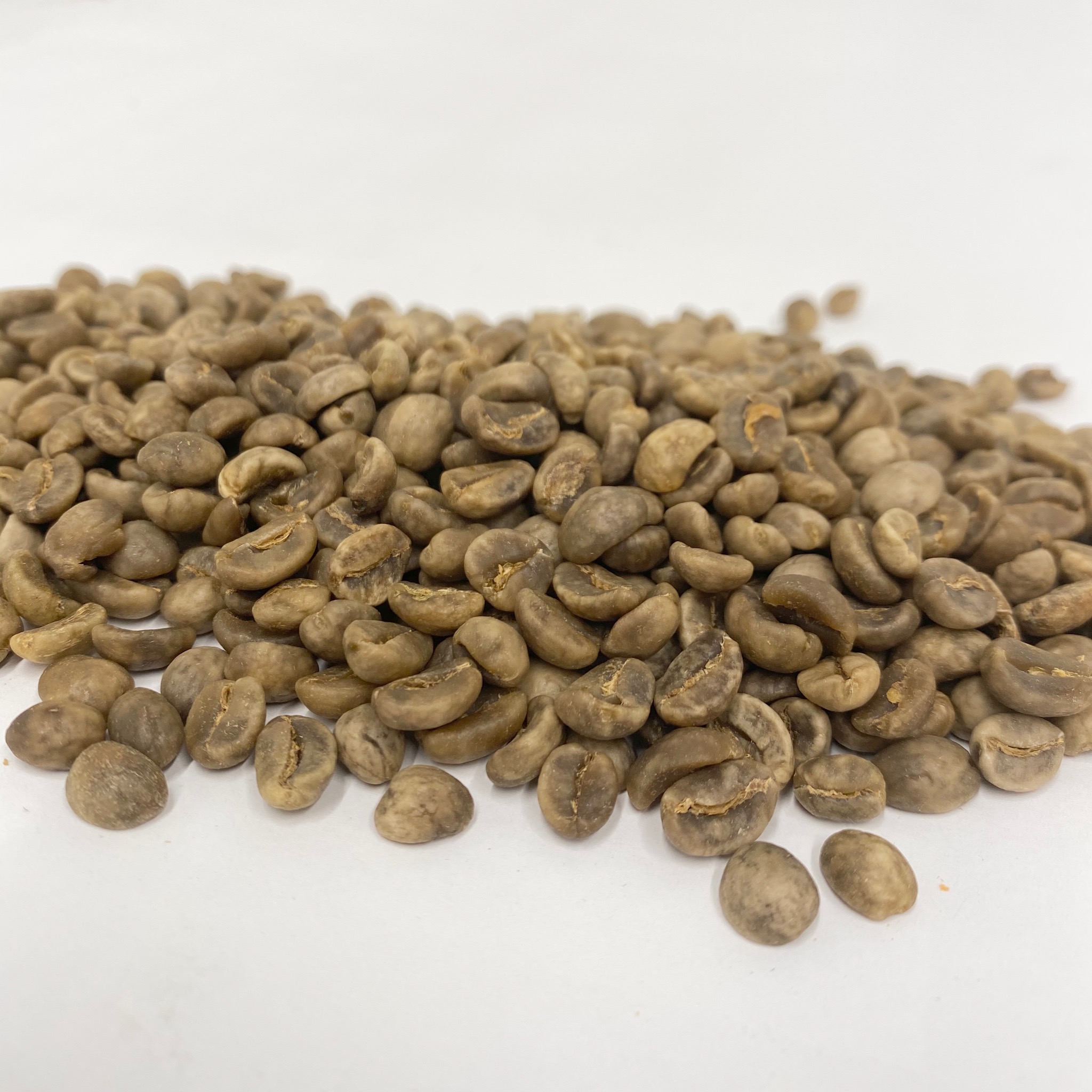 Specialty Green Coffee Beans | Current Crop Roasting Shop